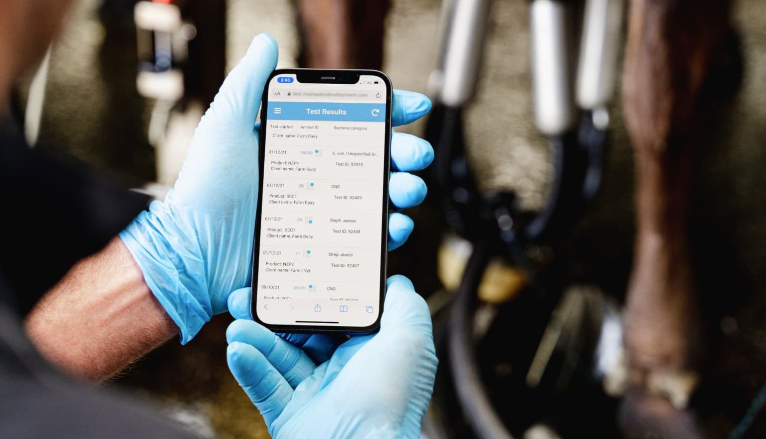 Why Mastatest®? | Tool for Effective Mastitis Treatment